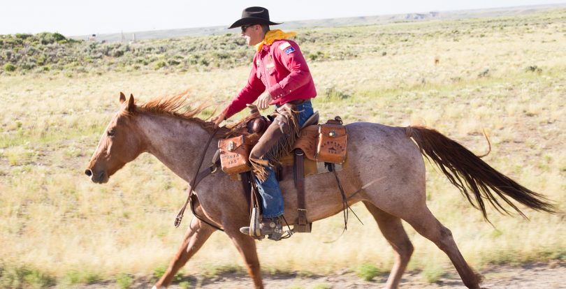 National Pony Express Association – Here Comes the Pony!
