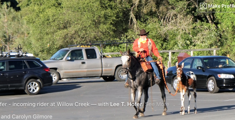 National Pony Express Association – Here Comes the Pony!